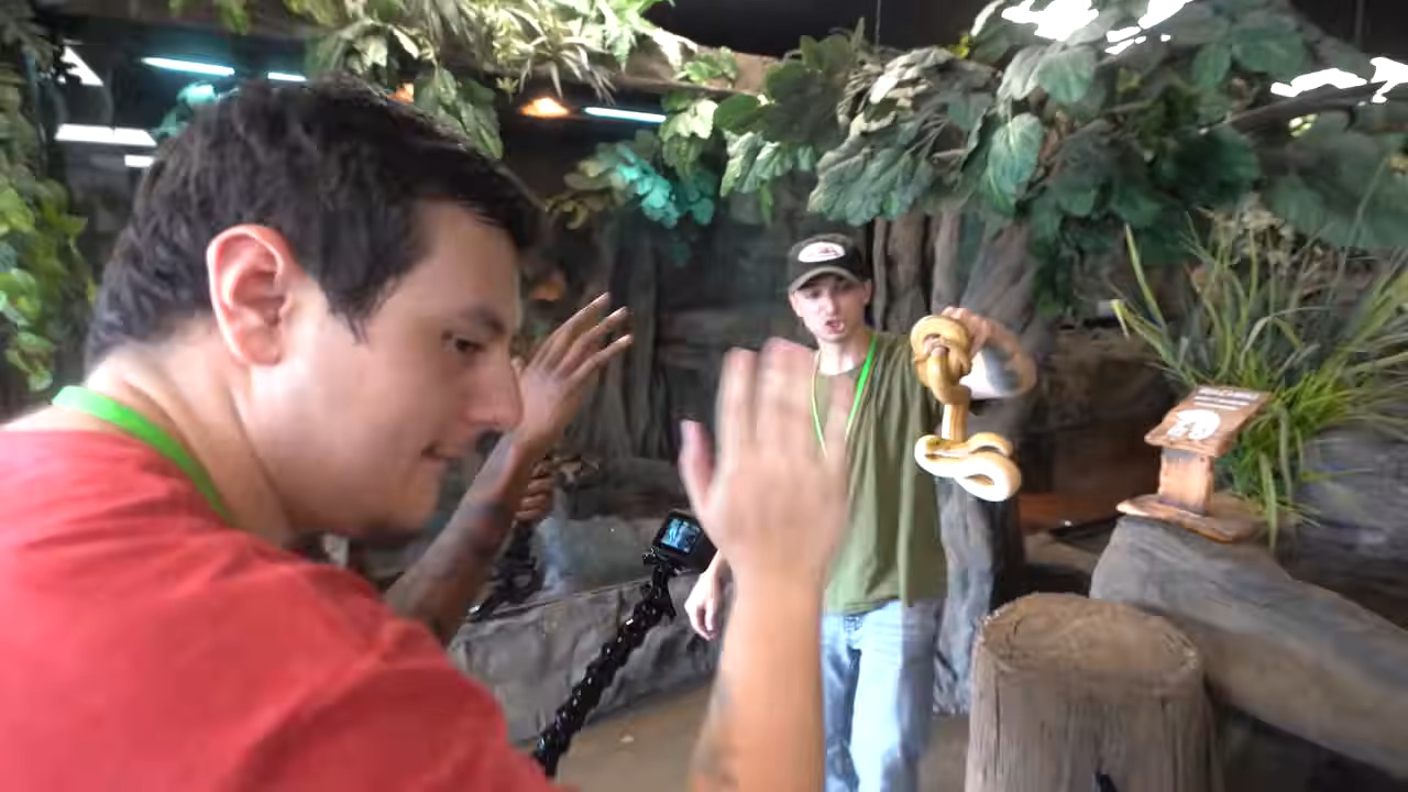 40 anaconda babies - and a serious cleanup problem