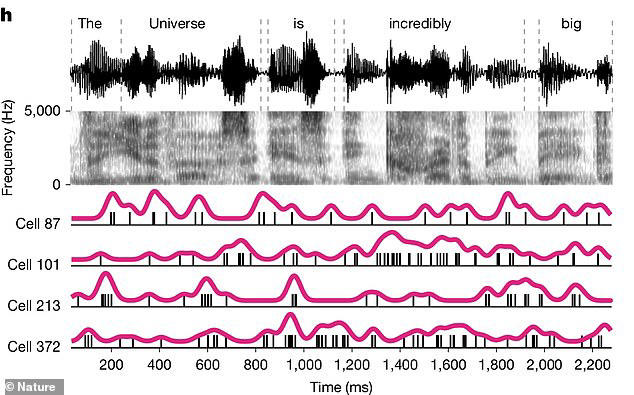 Brains can process language while unconscious - and it could explain ...