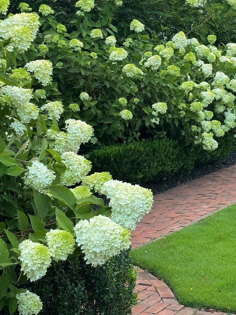 Green Bay's greenest thumbs share their own must-have garden plants