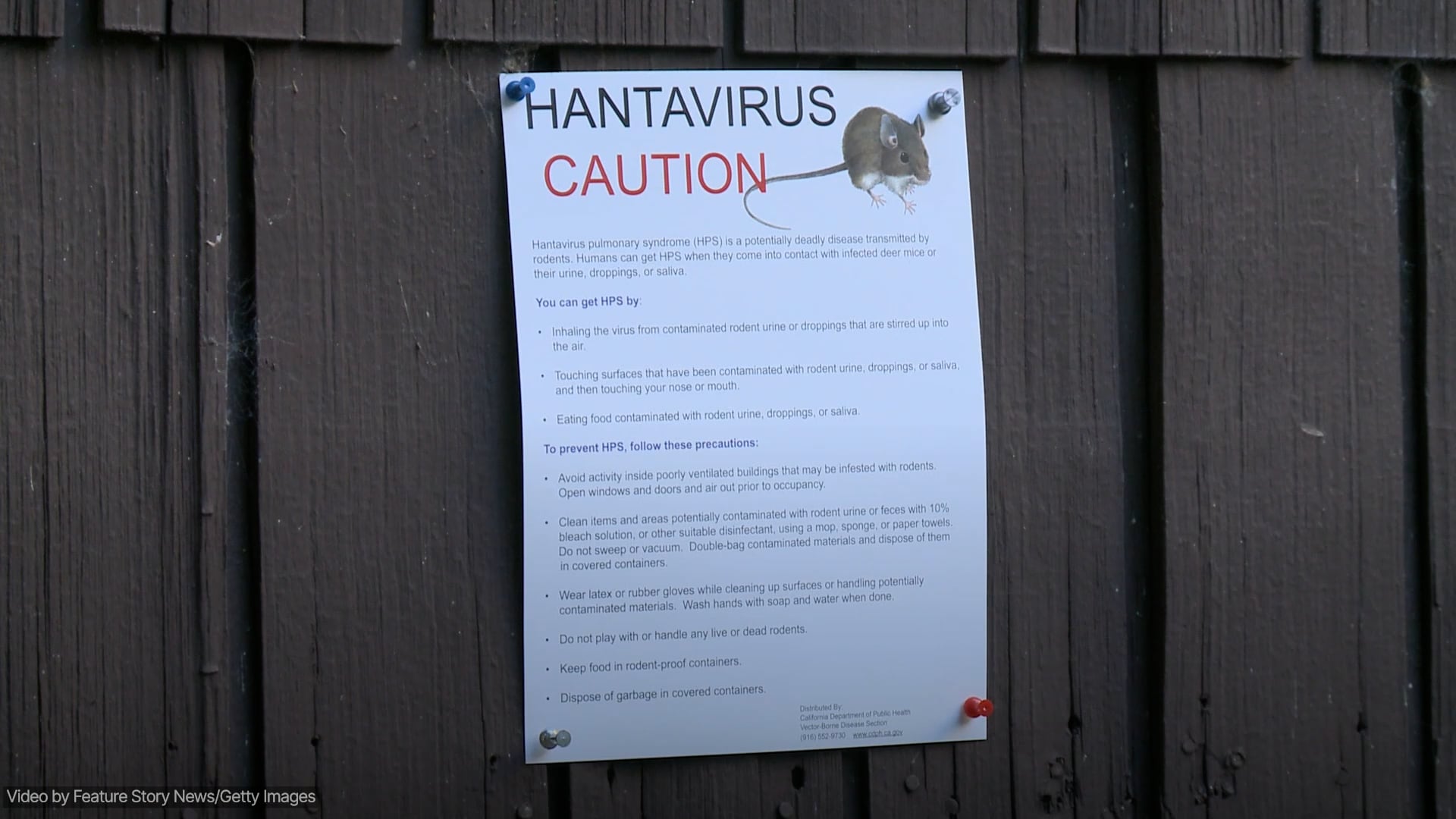 Hantavirus rising in Argentina, where cruise set sail