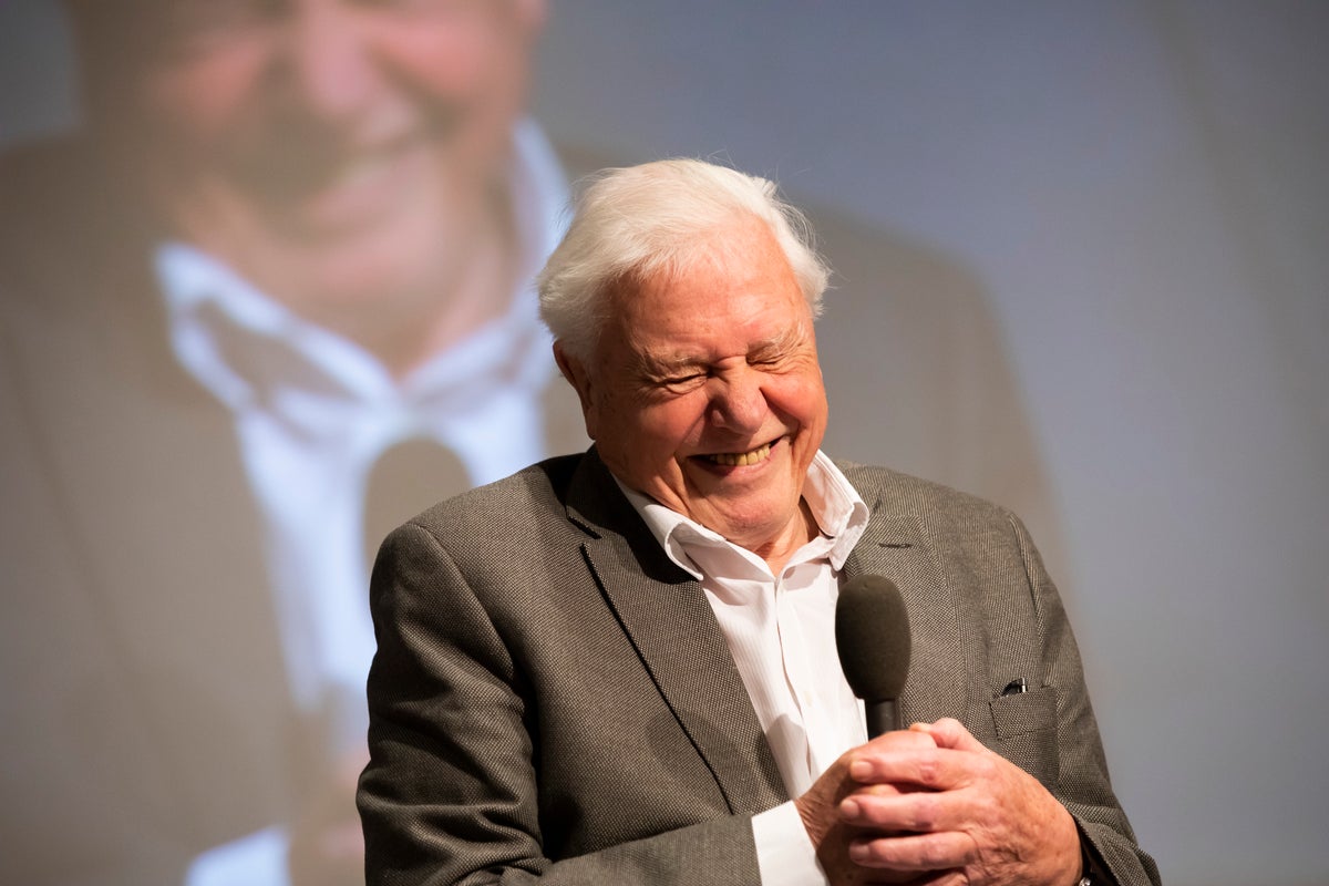 Sir David Attenborough’s 100th birthday gift is a parasitic wasp