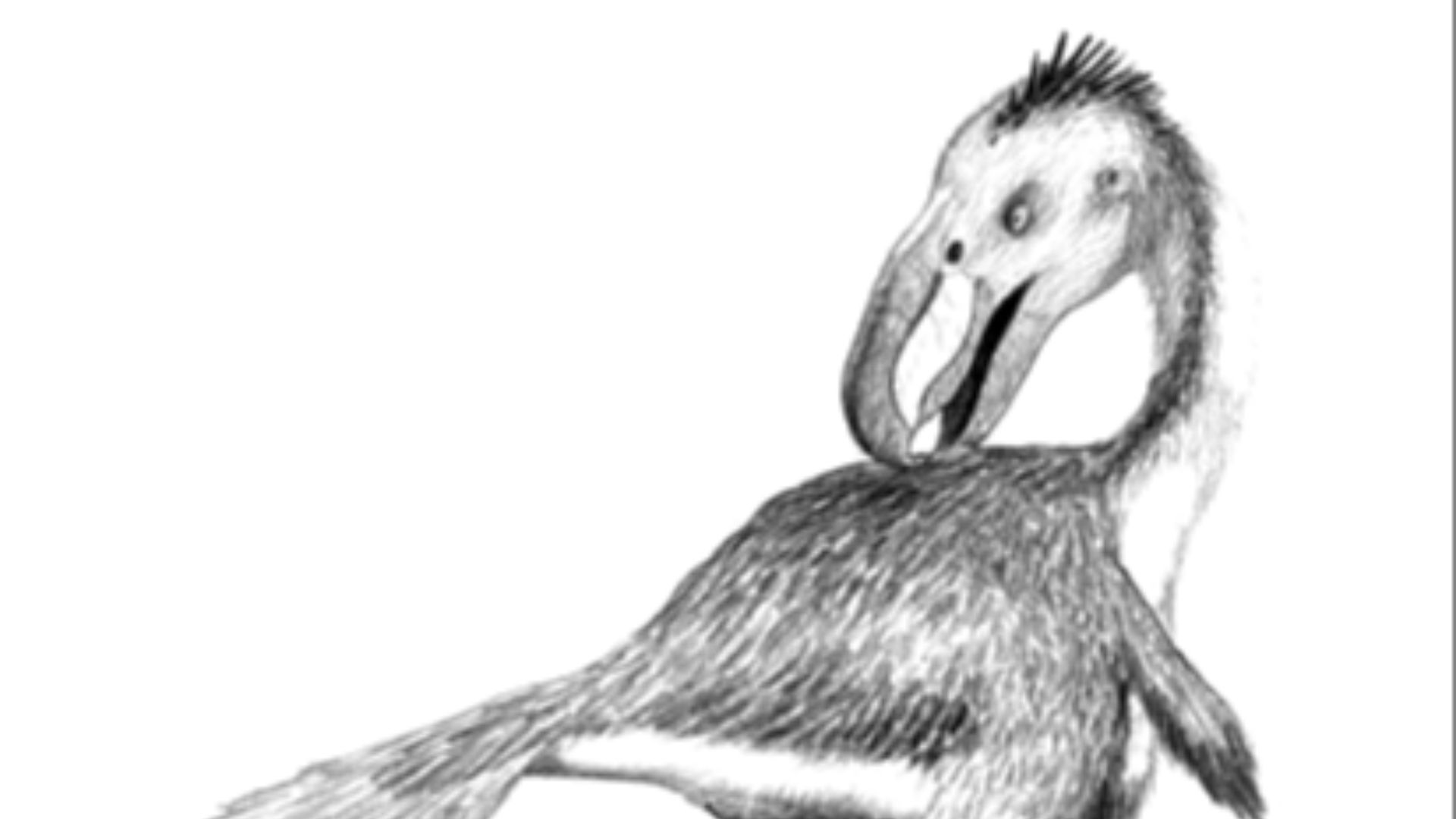 20 extinct animals that sound like they came from a fantasy novel