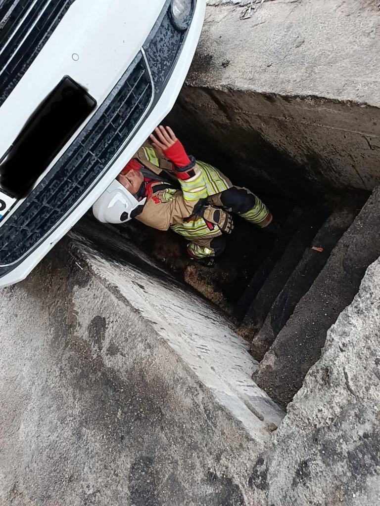 Arsuz’da otomobilin motoruna giren kediler kurtarıldı