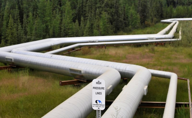 Canadian Natural beats profit estimates on higher oil production
