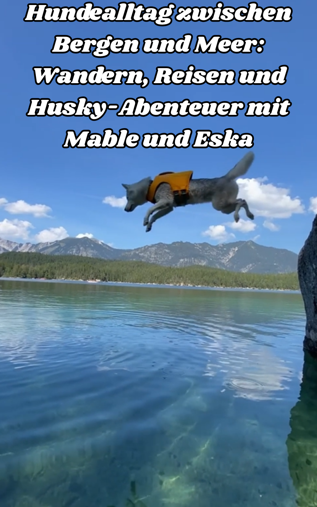 Hundealltag zwischen Bergen und Meer: Wandern, Reisen und Husky ...