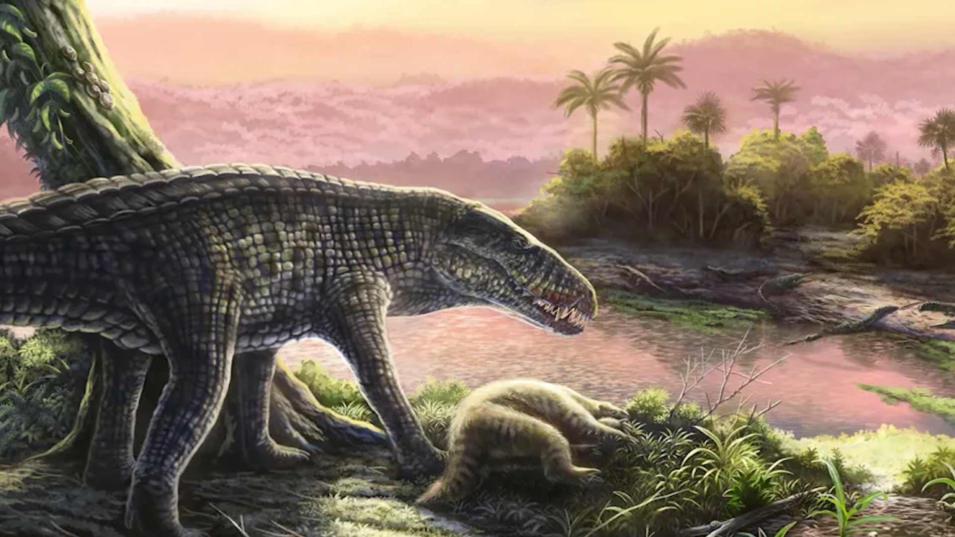 These snakes could swallow crocodiles whole - the forgotten giants of ...