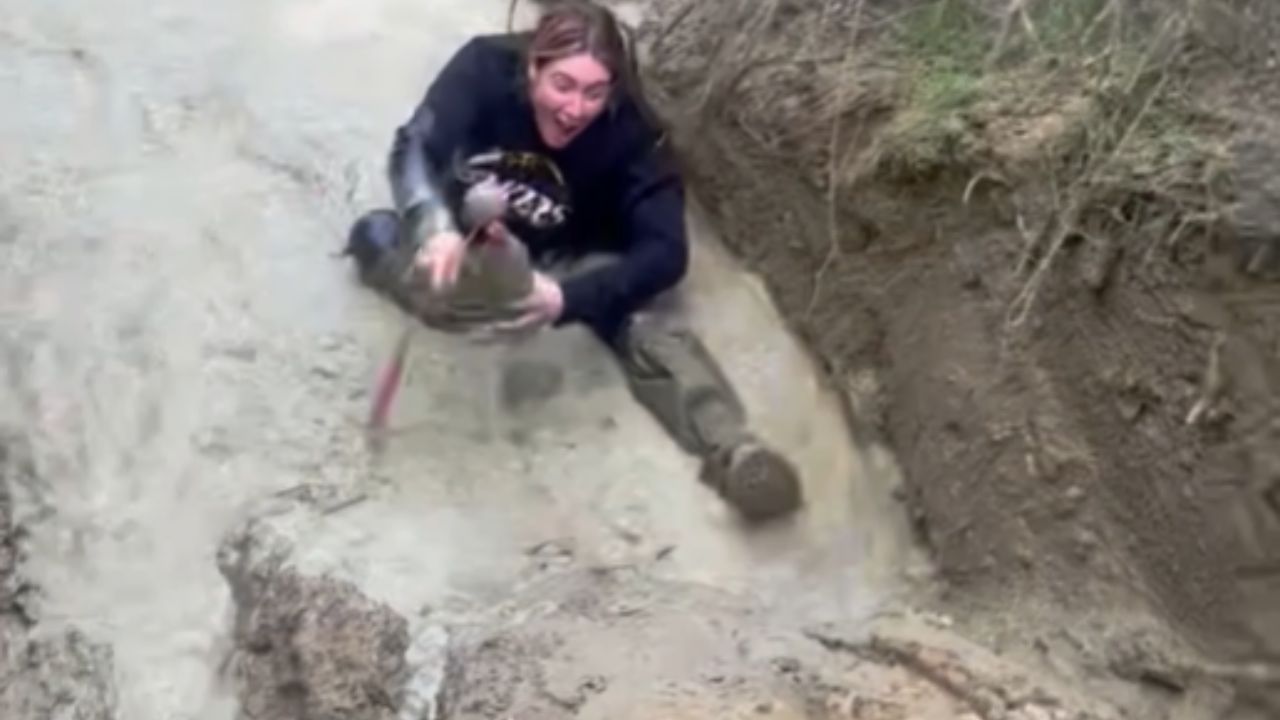 Dog walk ends with a fall in a muddy patch