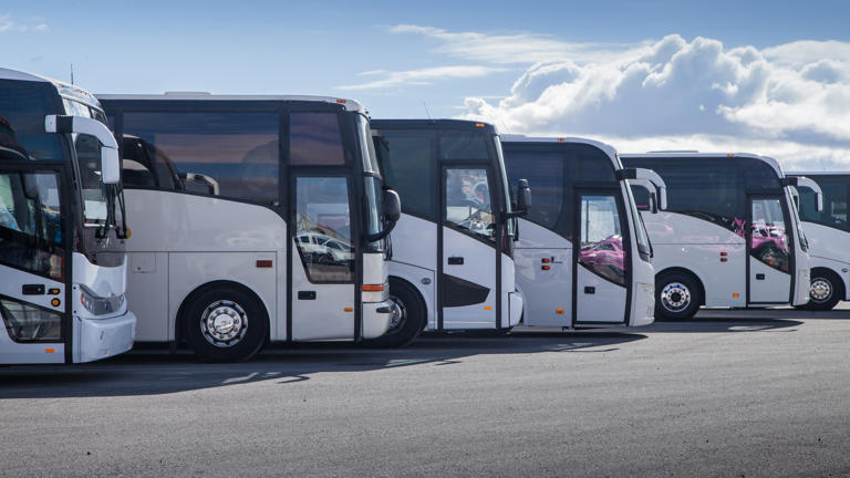 How to report an unsafe lorry, coach or bus driver