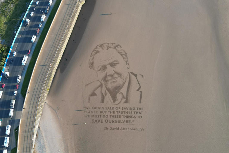 Stunning sand art on Morecambe beach honours Sir David Attenborough