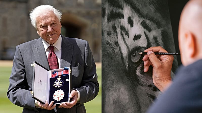 'David Attenborough effect': Meet the wildlife artists inspired by the ...
