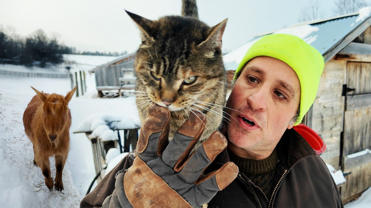 Watch daily farm chores continue during freezing winter weather conditions