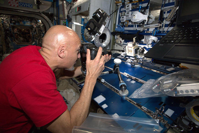 Astronauts on the space station fed meteorites to a fungus. What ...