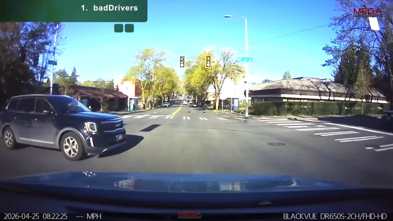 This driver panicked - and made a huge mistake