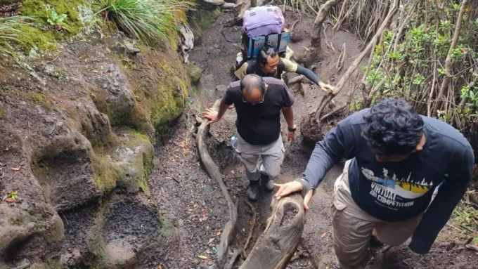 Ketemu tupai jinak, kayu bolong dan guyuran hujan