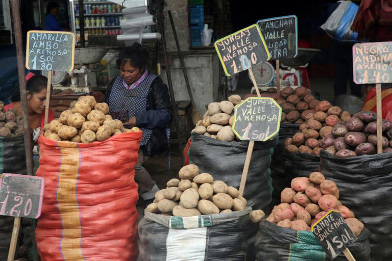 Study shows how a potato-based diet changed the genetics of Andean people