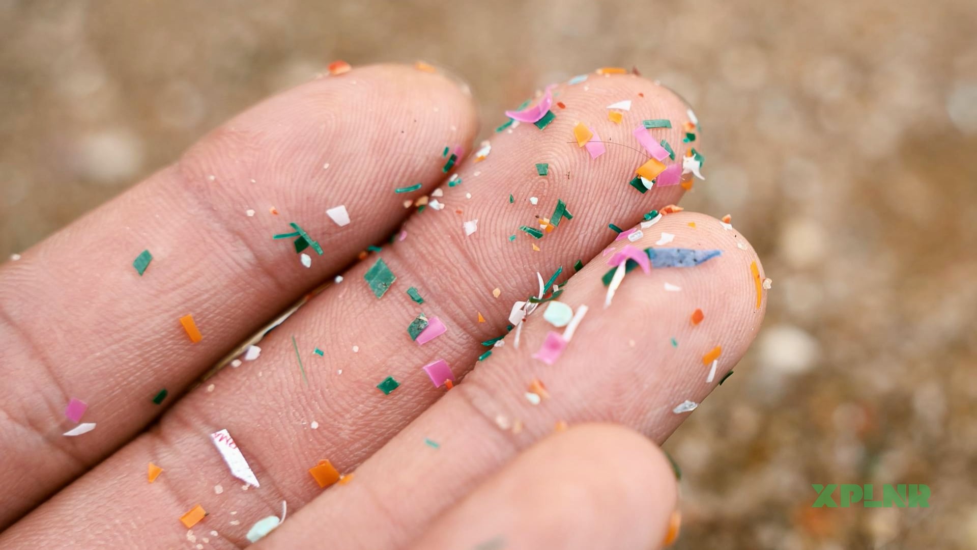 The truth about microplastics