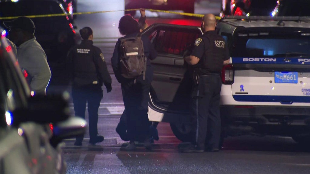 14-year-old boy arrested by Boston police after teen girl is shot at ...