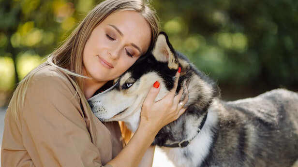 Why dogs change personality around certain people suddenly