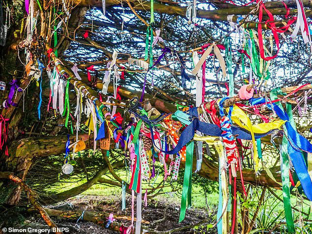 'Witch' influencer angers grieving families by cutting memorial ribbons ...