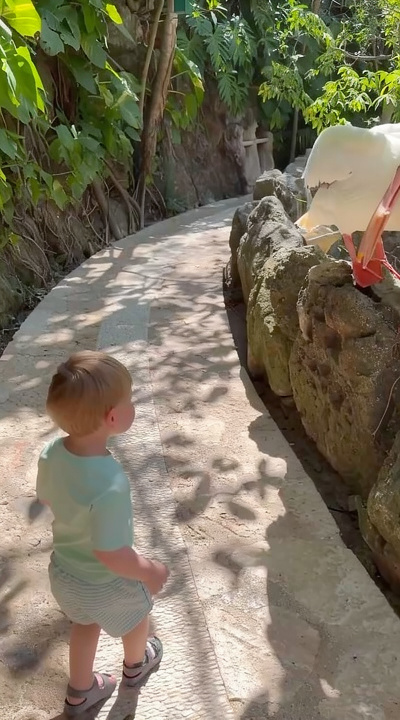 An animal tried to eat my toddler