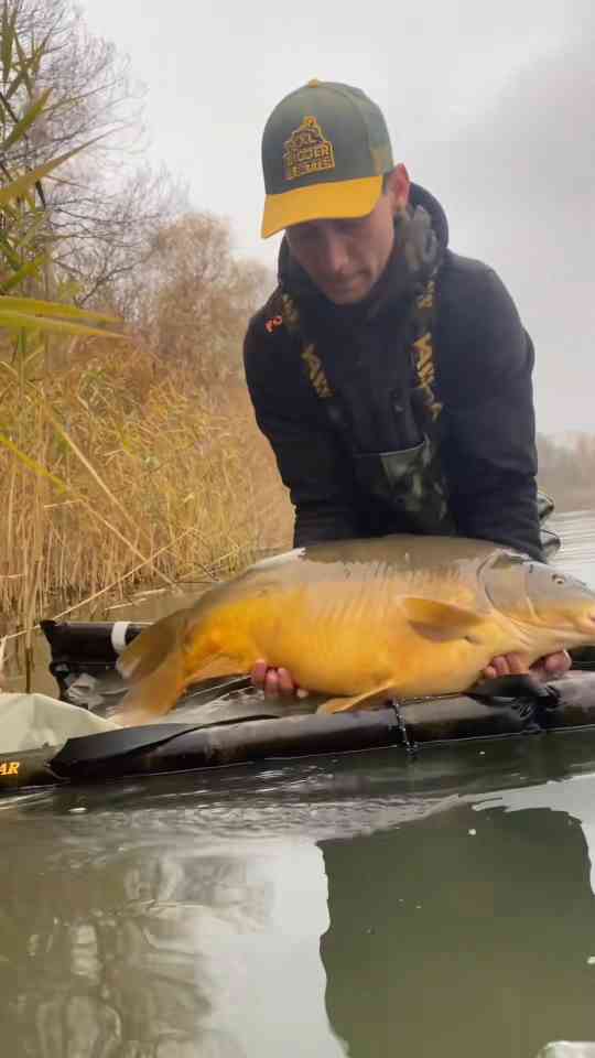 Fishing fans are trying this popular carp rig technique