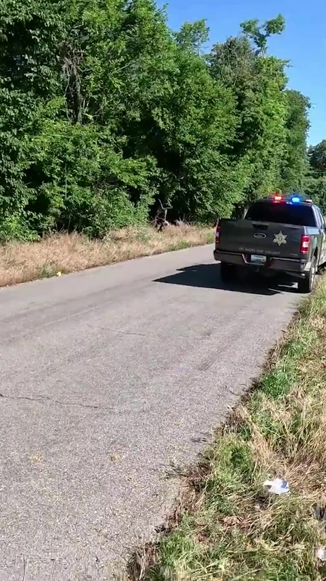 Vehicle recovery after pole impact