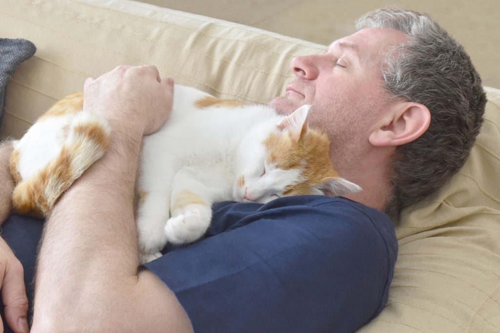 The spiritual meaning of a pet cat sleeping on your chest