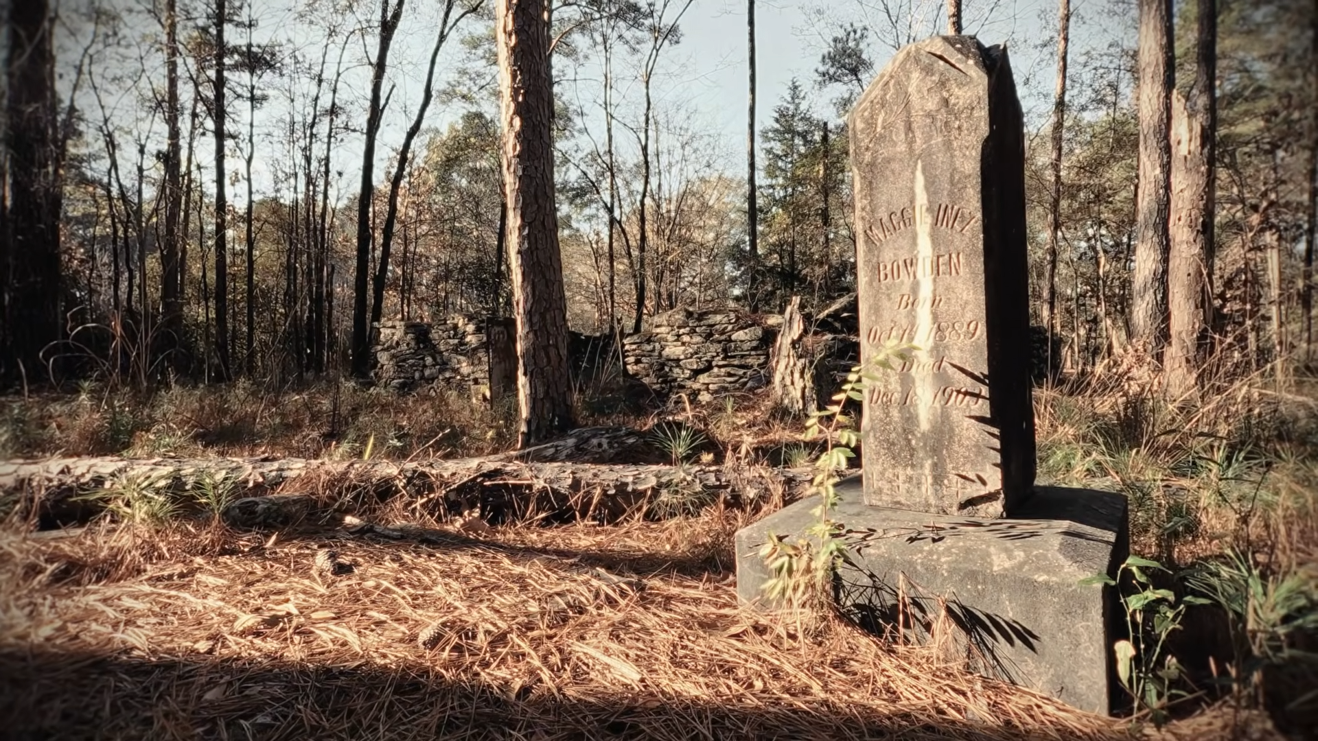 She locked herself in a room — and this hidden graveyard tells why