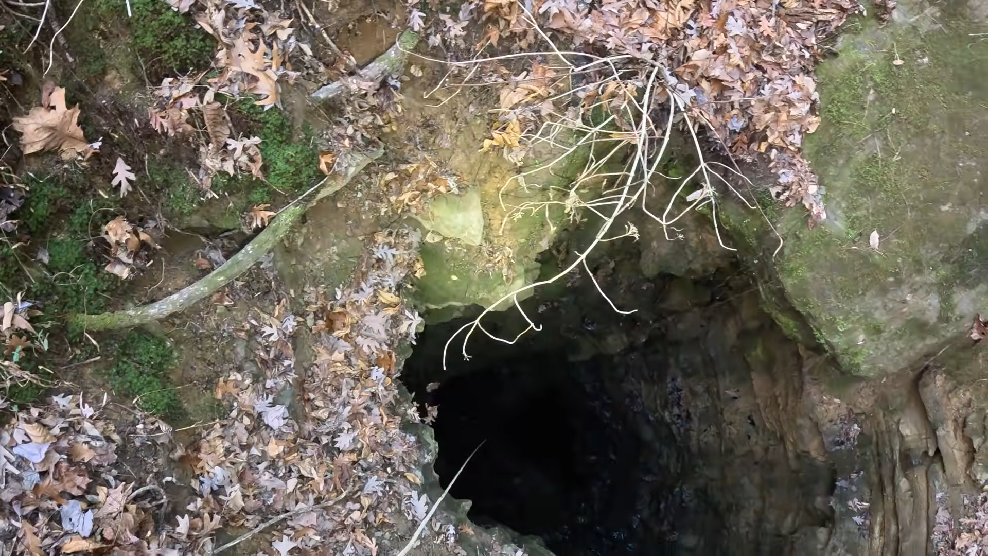 They found a hole beside a hiking trail - then a skull came into view