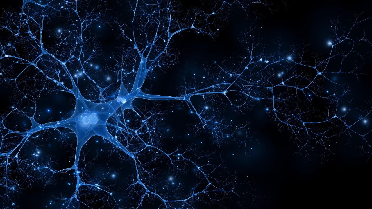 Scientists discover 30% of your brain’s synapses are 'silent' — dormant ...