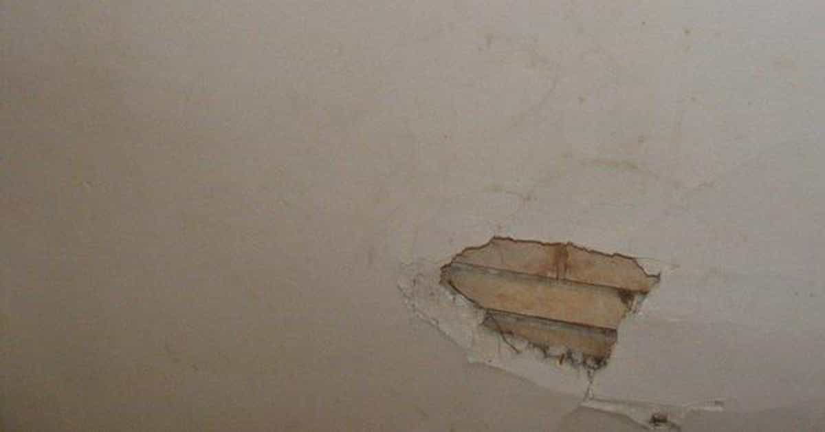 Horrifying things found inside walls