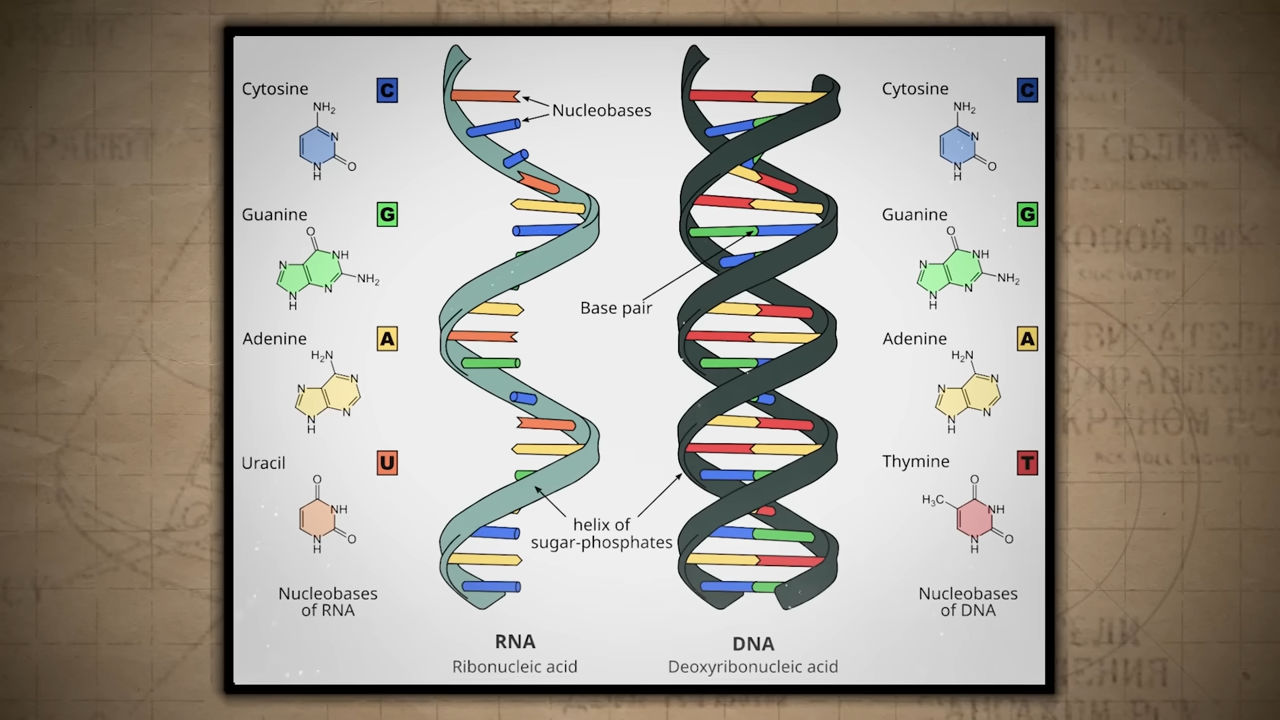 Life could exist without DNA – and science already knows how