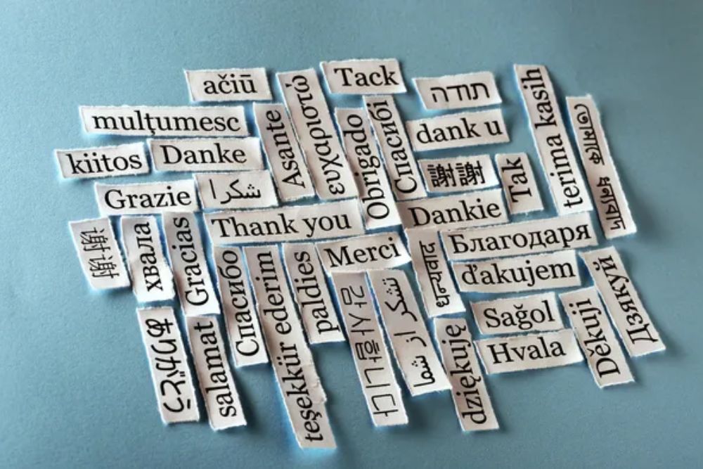 16 countries where official languages are spoken by less than 5% of ...