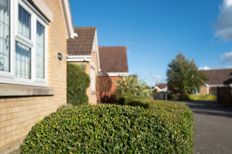 UK households risk having to repaint homes after council makes six ...