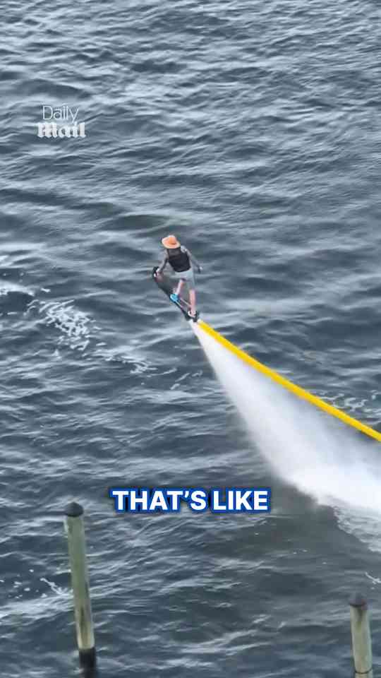 Dog rides jet ski like a total pro on the water