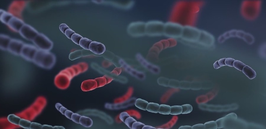 What is sepsis and why does it need early treatment?