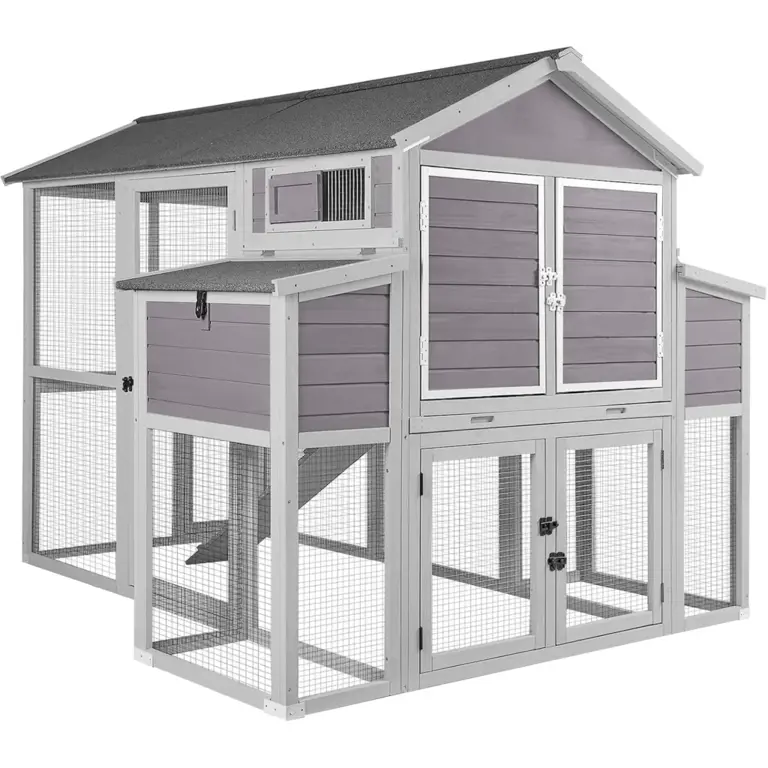 Backyard chicken coop deals at Walmart include coops, feeders, and more