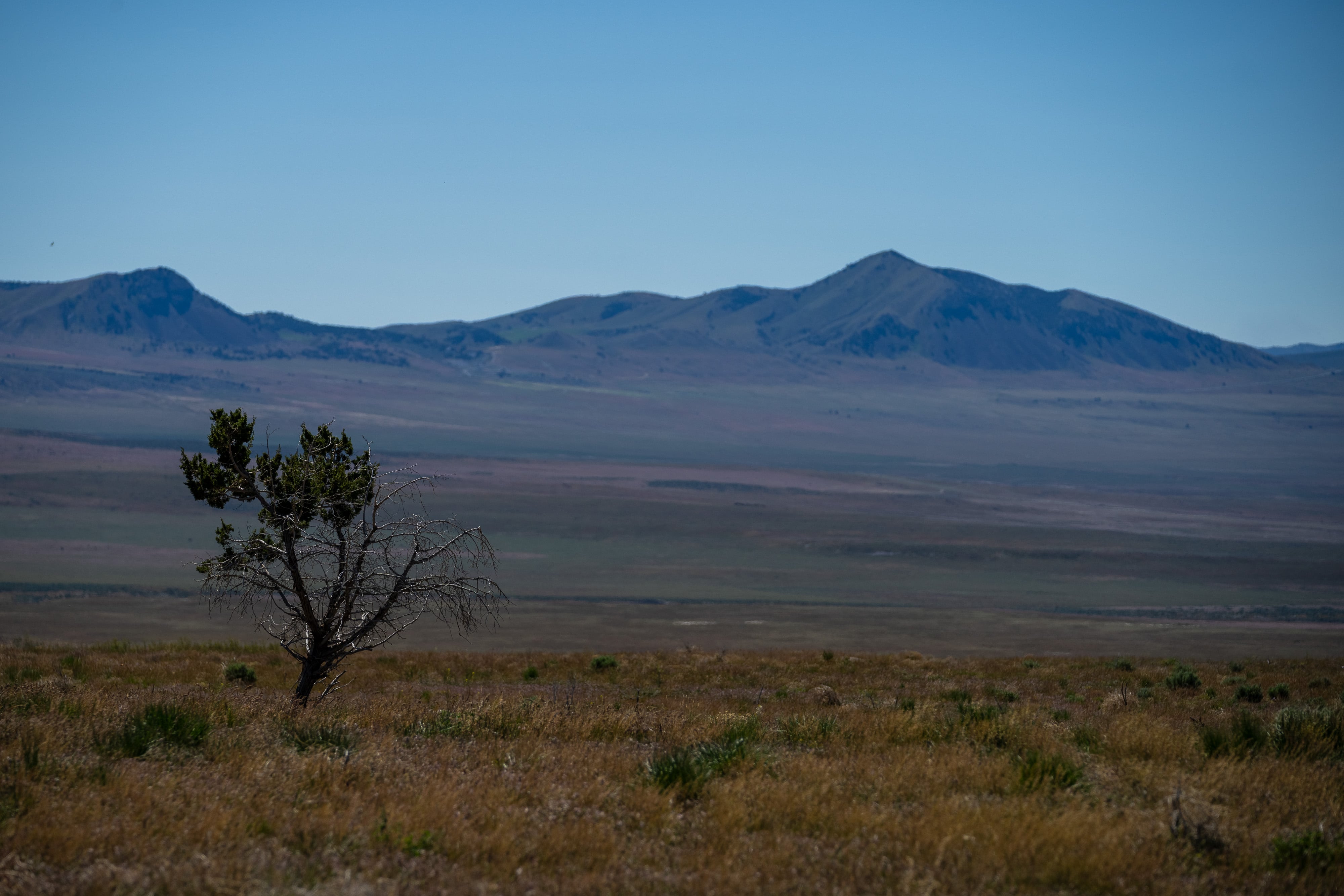 Massive Utah data center complex 'can' be powered by renewables, O ...