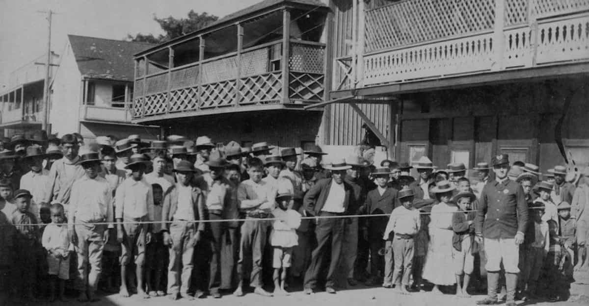 The bubonic plague in San Francisco