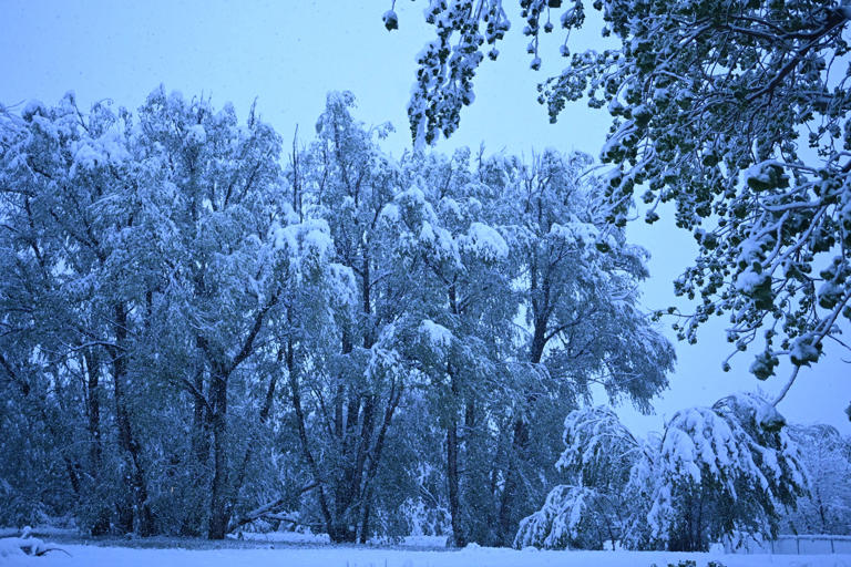 Recap: Rockies May snowstorm dumped 30+ inches of snow in Colorado ...