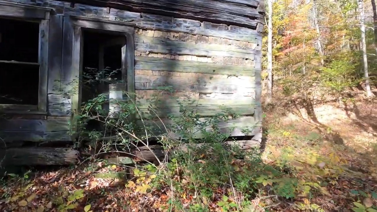 They chased it with a gun - the strange Bigfoot story behind this cabin