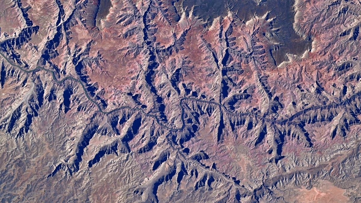 NASA astronaut captures Grand Canyon from space looking like Earth's nerves