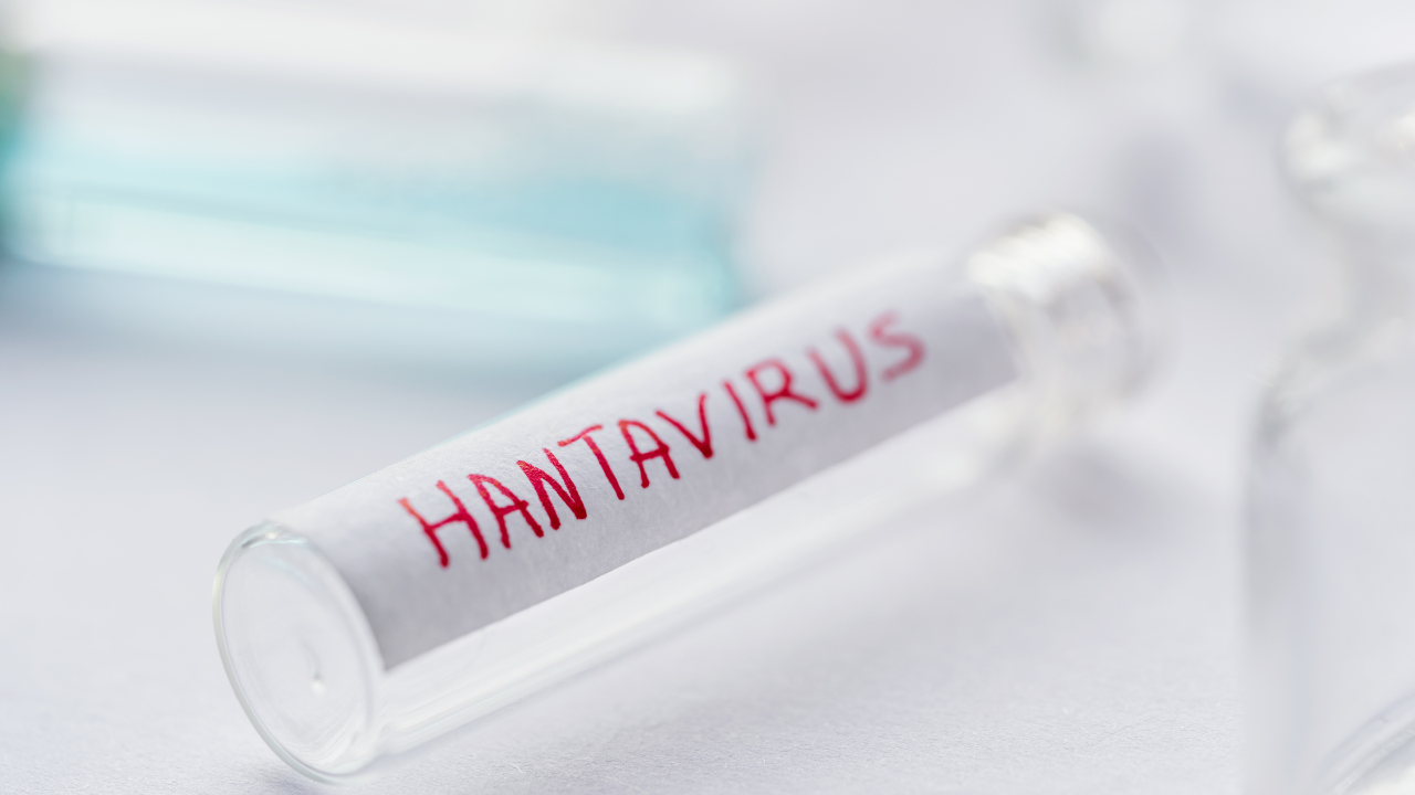 Hantavirus symptoms may look mild at first, but doctors say kidneys and ...