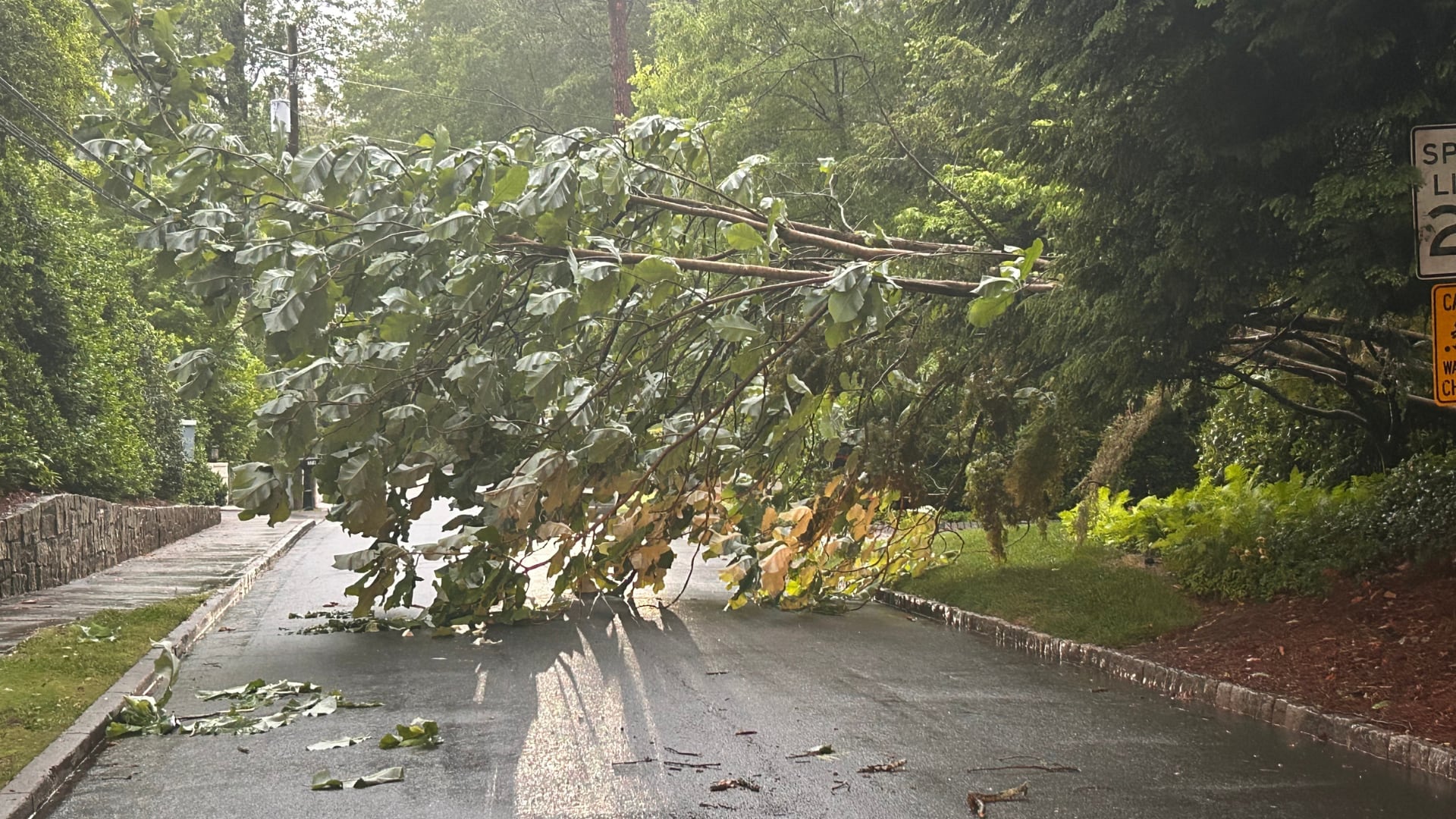 Wet roads, tree damage impact morning commute in Atlanta