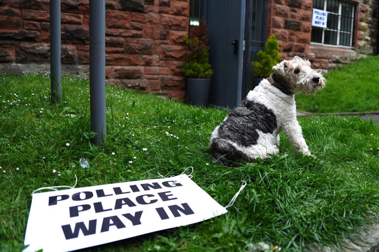 In pictures: Major parties fearing ‘ruff’ results as dogs join owners ...