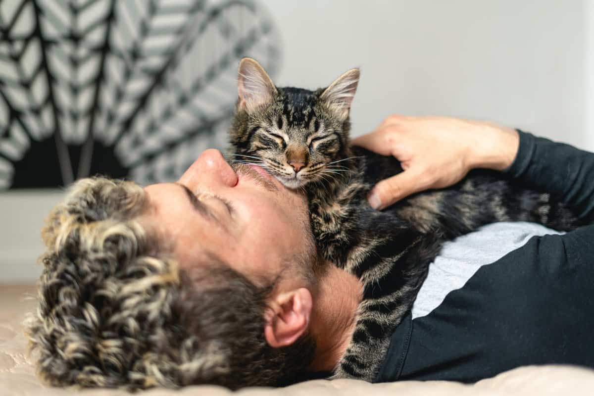 The spiritual meaning of a pet cat sleeping on your chest