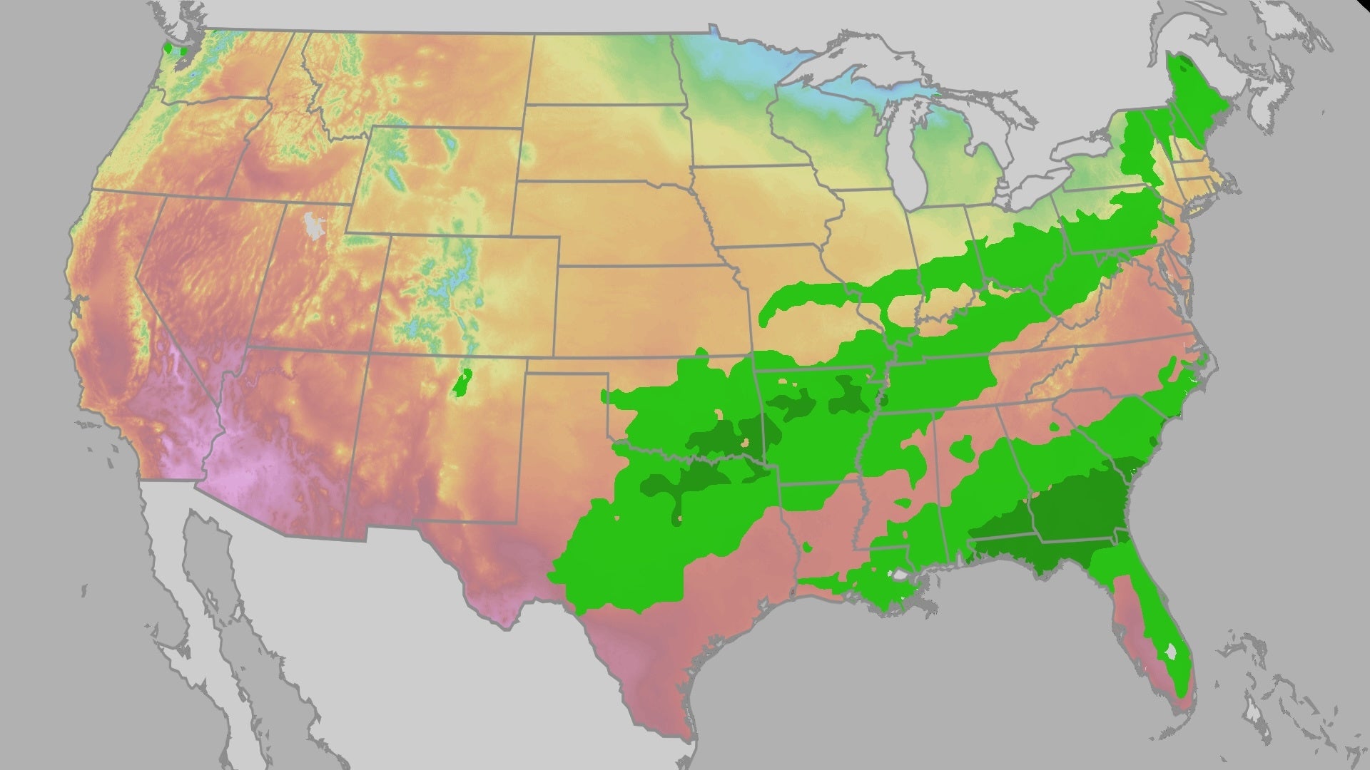 Mother's Day forecast: Will weather cooperate?