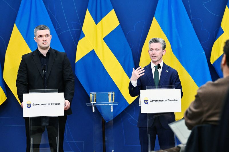 Ukraine Gripen fighter jet deal could be signed within months, defence ...