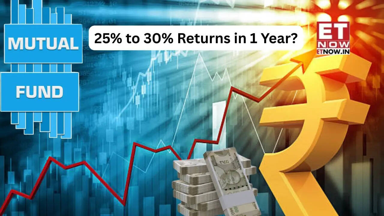 Mutual fund investment plan: 25-30% returns in just 1 year? Here’s list ...