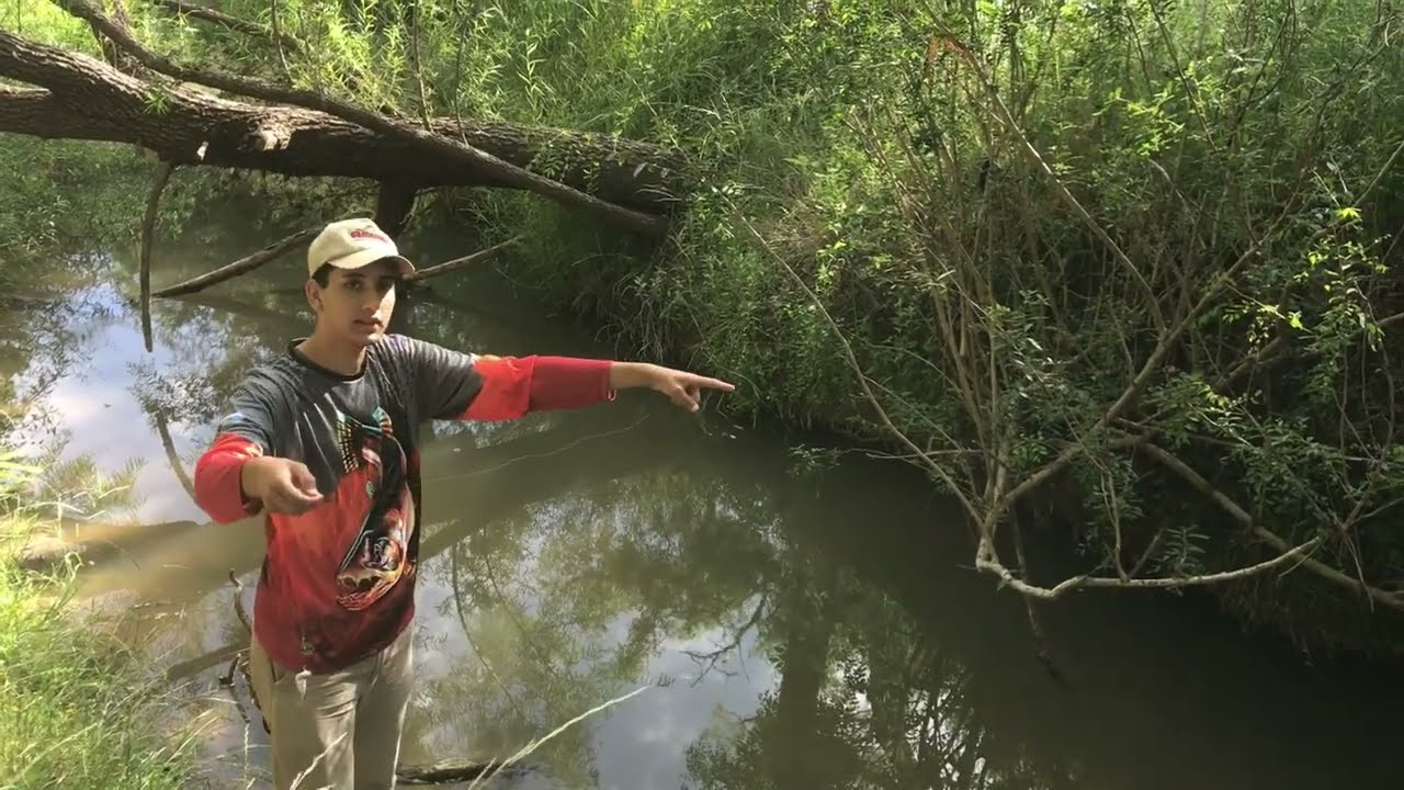 Este arroyo escondido parece sacado de otro mundo